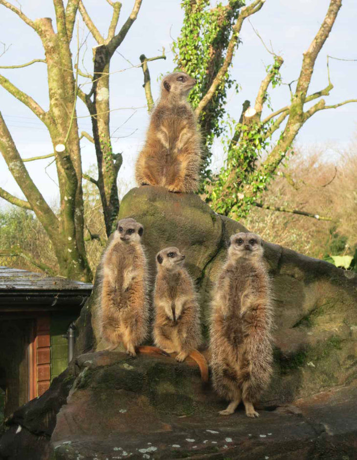 August - Things to do in North Devon & Exmoor - Huxtable Farm